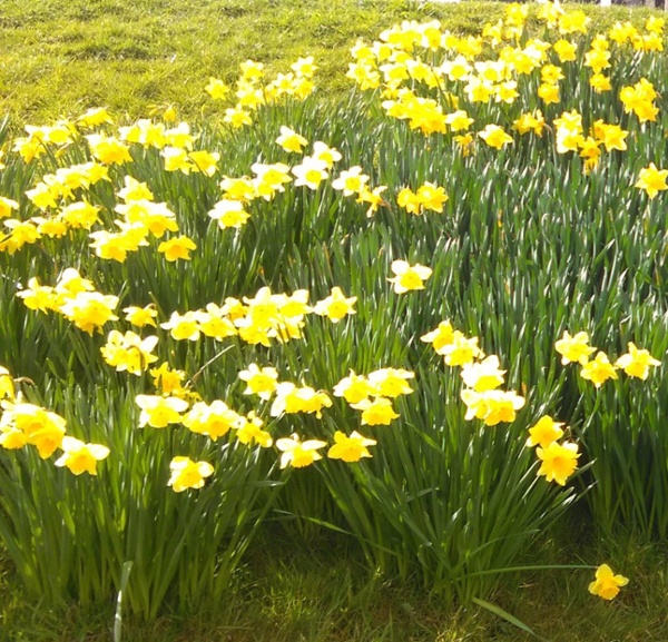 About Us - Cwm Calon Surgery