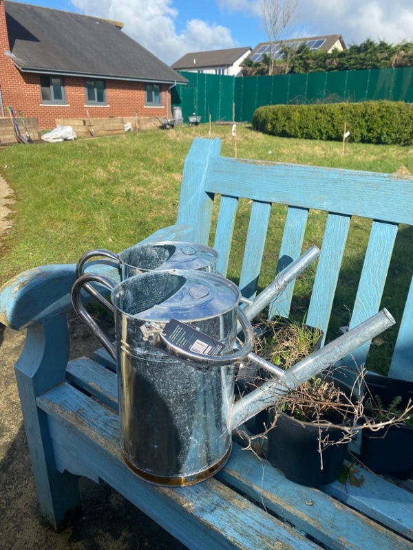 NHS charity funds tools to create sensory garden at mental health ward ...