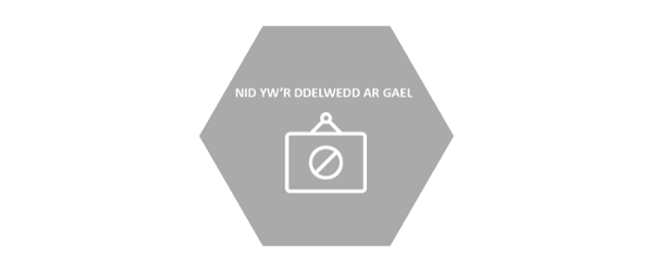 Partneriaethau corfforaethol - Elusennau Iechyd Hywel Dda